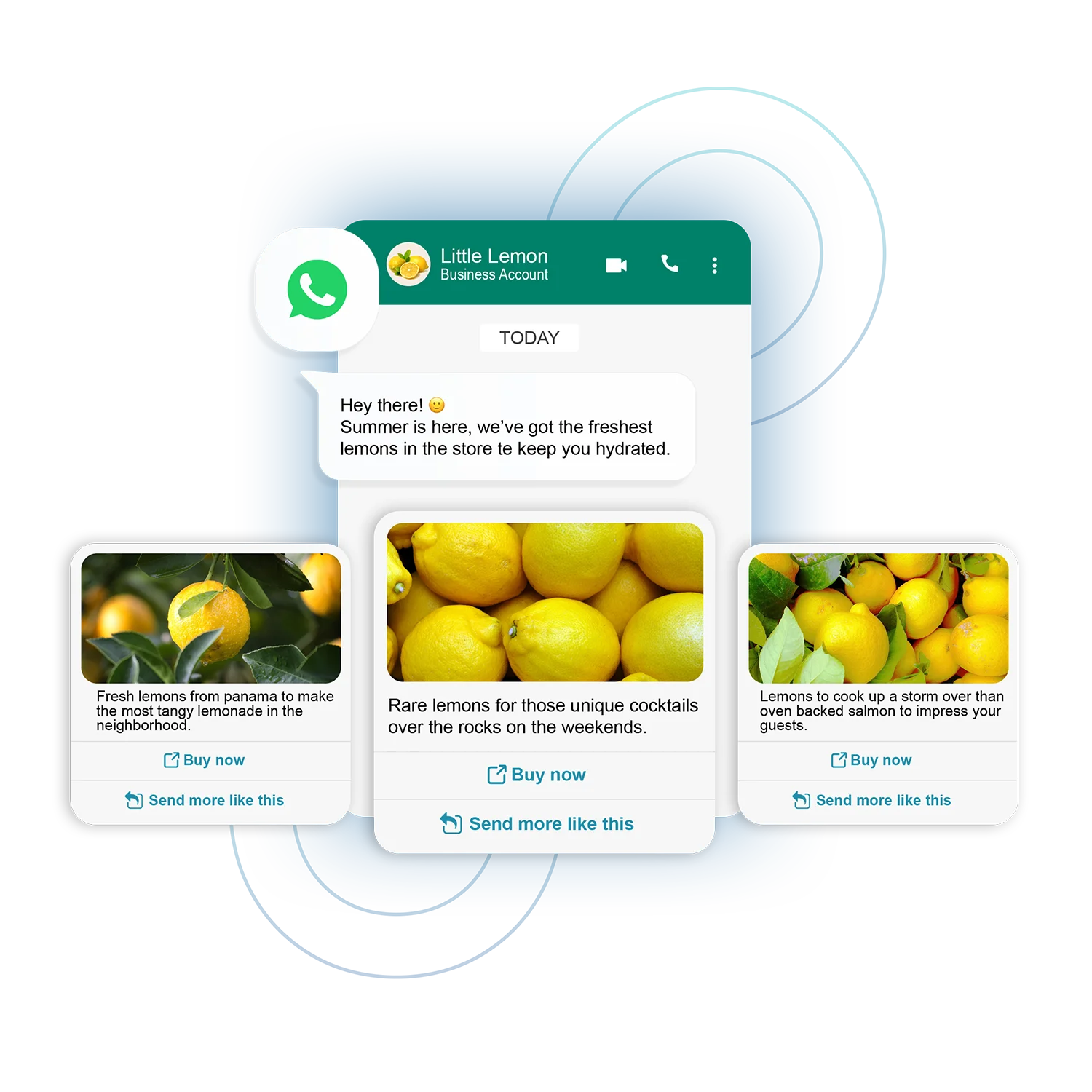WhatsApp Flows: Automate & Enhance Customer Interactions